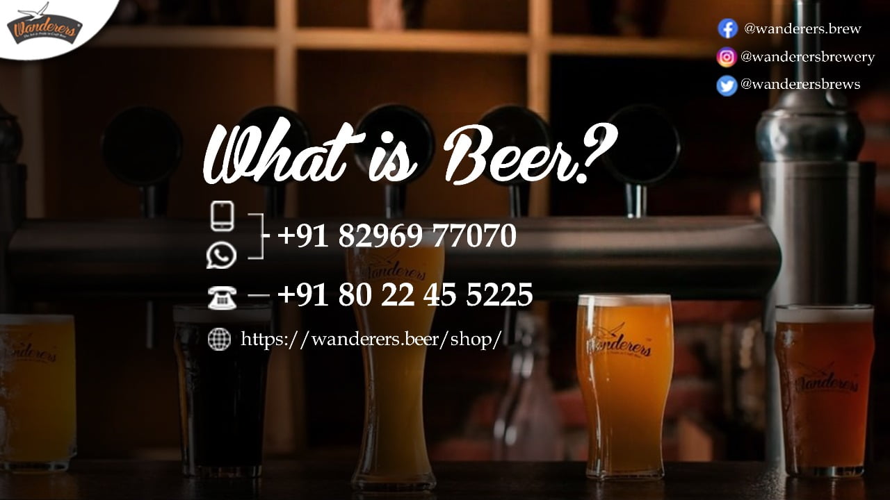 What is Beer? | Wanderers Craft Brewery & Artisan Cafe